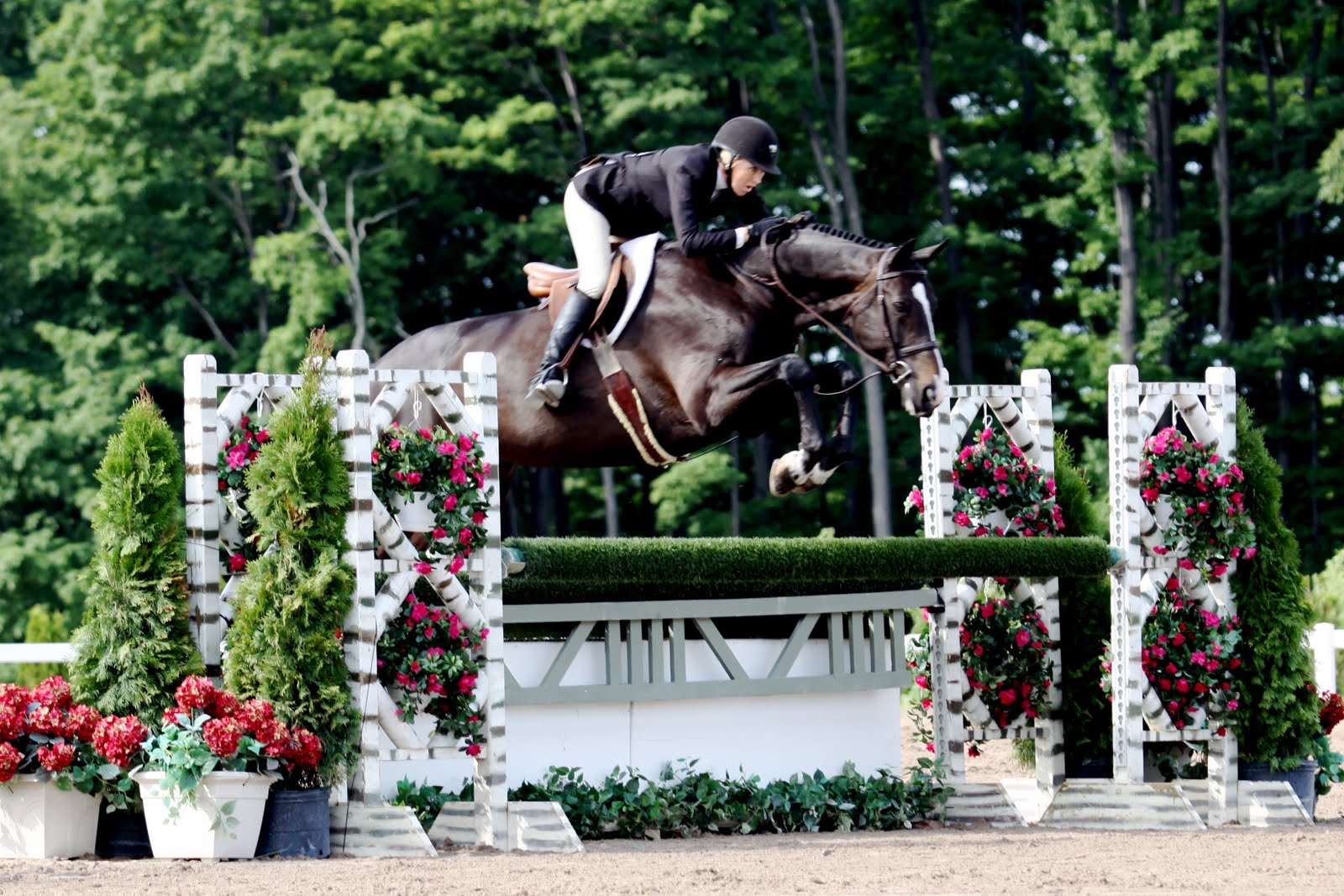 Robyn Story Designs and Boutique: Robyn Story Designs and Horse Shows??