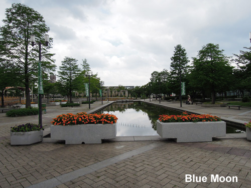 One Day Trip at Tennoji - Osaka, Japan