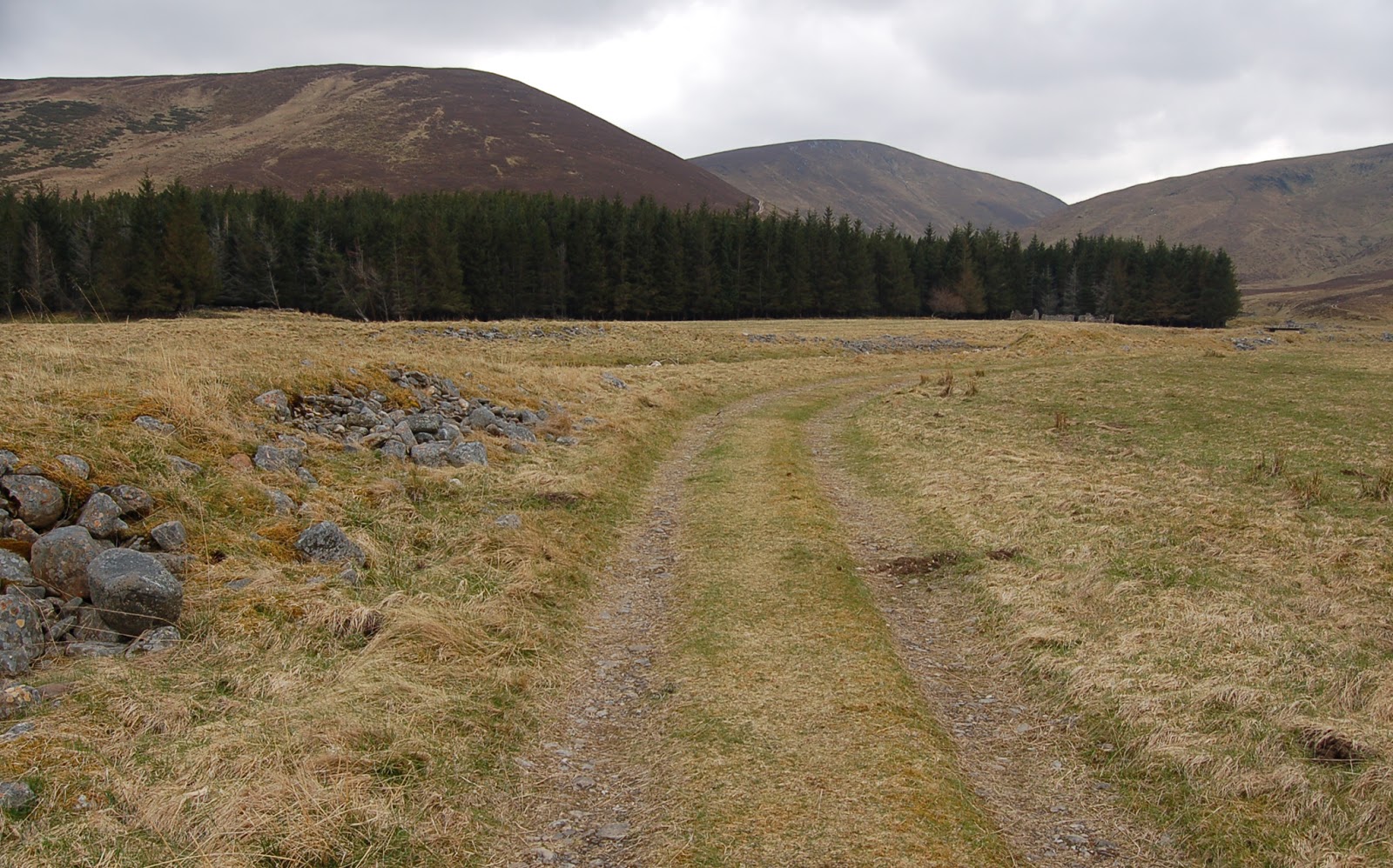 Brian's birding blog: Golden Eagle in the Findhorn Valley