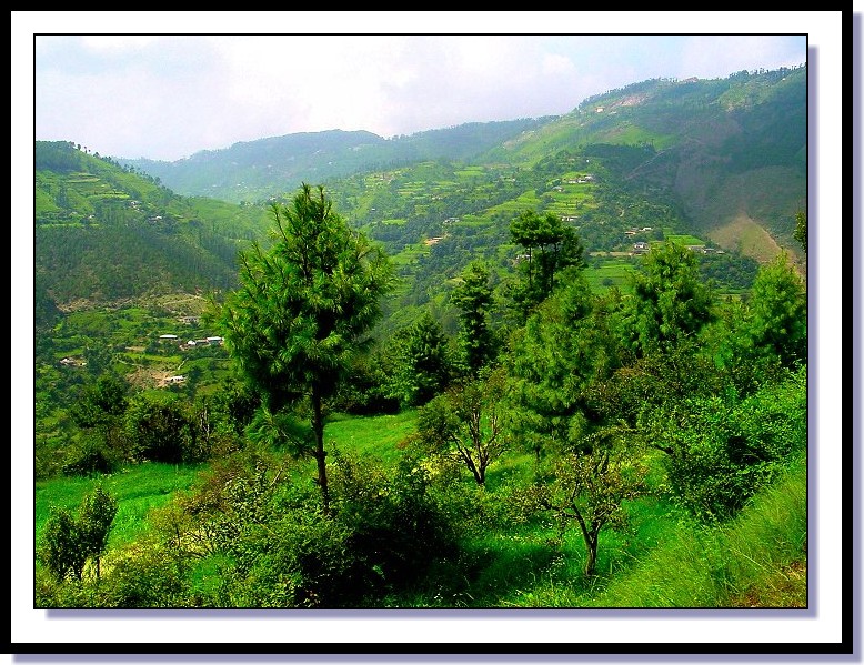 Shimla : The Gift of Nature