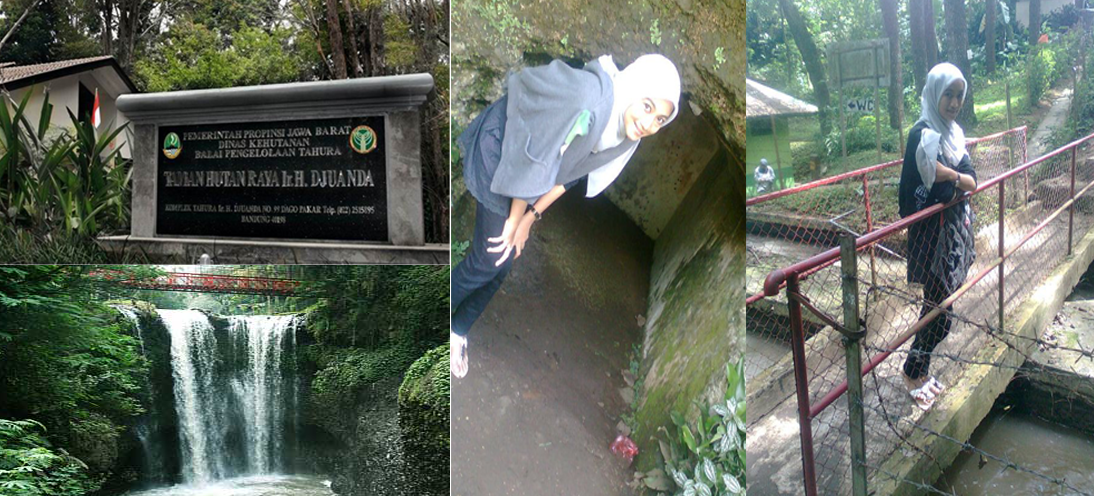 Taman Hutan Raya Ir. H. Djuanda Bandung - Sewa Villa di Bandung ...