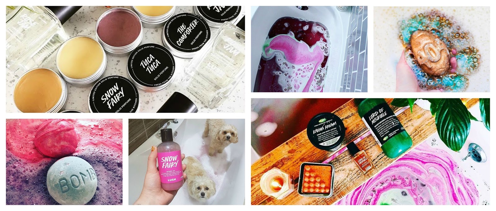 ♥ LUSH Instagram Accounts You Need to Follow! - ♡ iyastevie