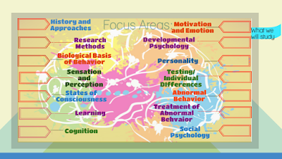 Ms. Courtney Holbert: TNHS History Leader: Psychology