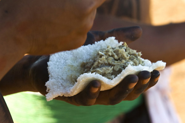 19 de Abril - Dia do Índio - um pouco sobre a cultura indígena - Diário ...