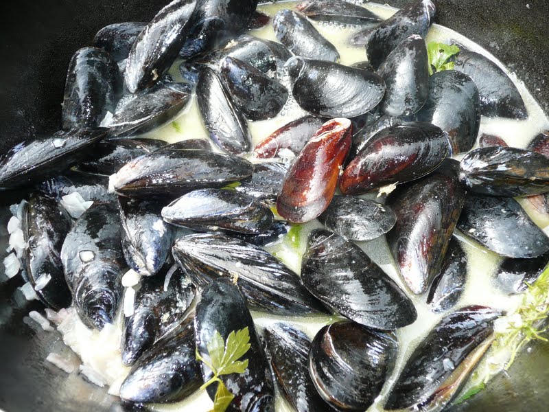 Everyday Dutch Oven: Moules a la Mariniere