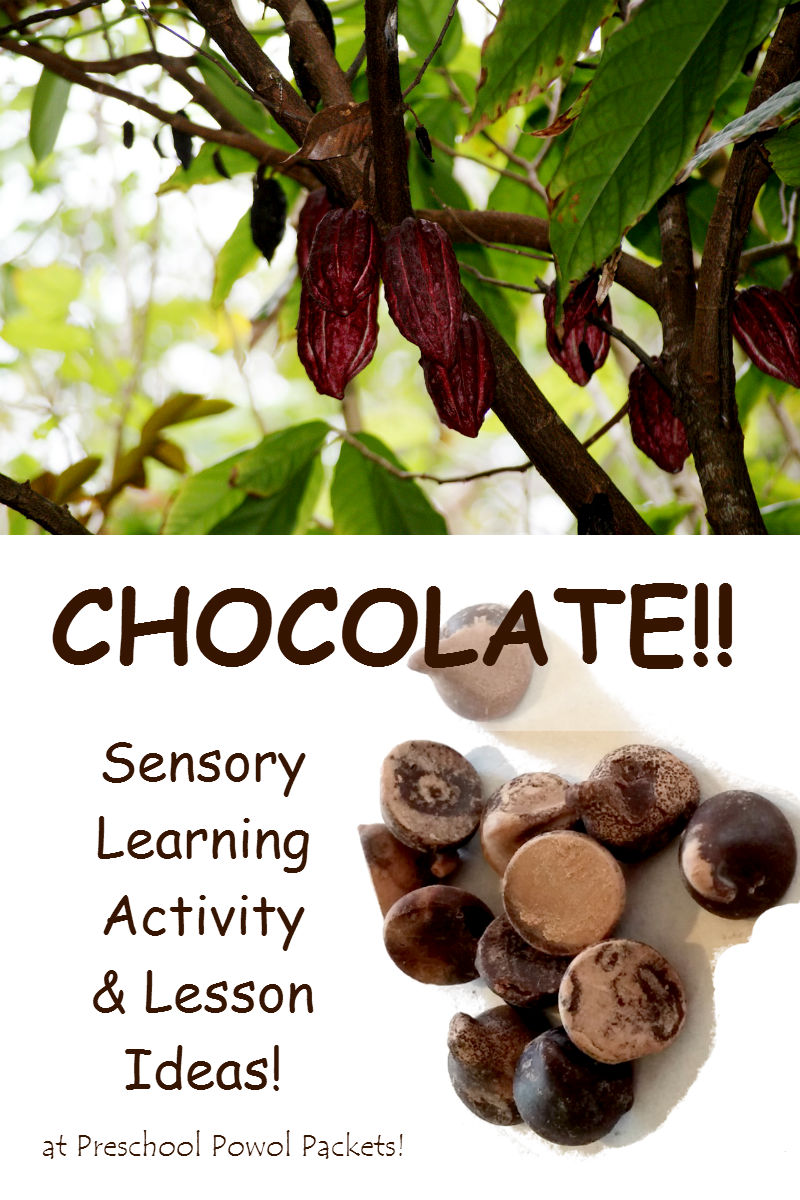 Chocolate Sensory Activity Lesson Preschool Powol Packets chocolate-sensory-activity-lesson-preschool-powol-packets
