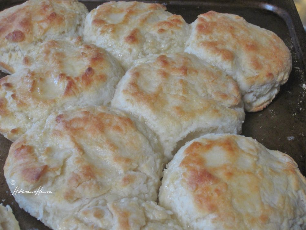 Hibiscus House: Southern Traditions: Fat Back, Homemade Biscuits ...