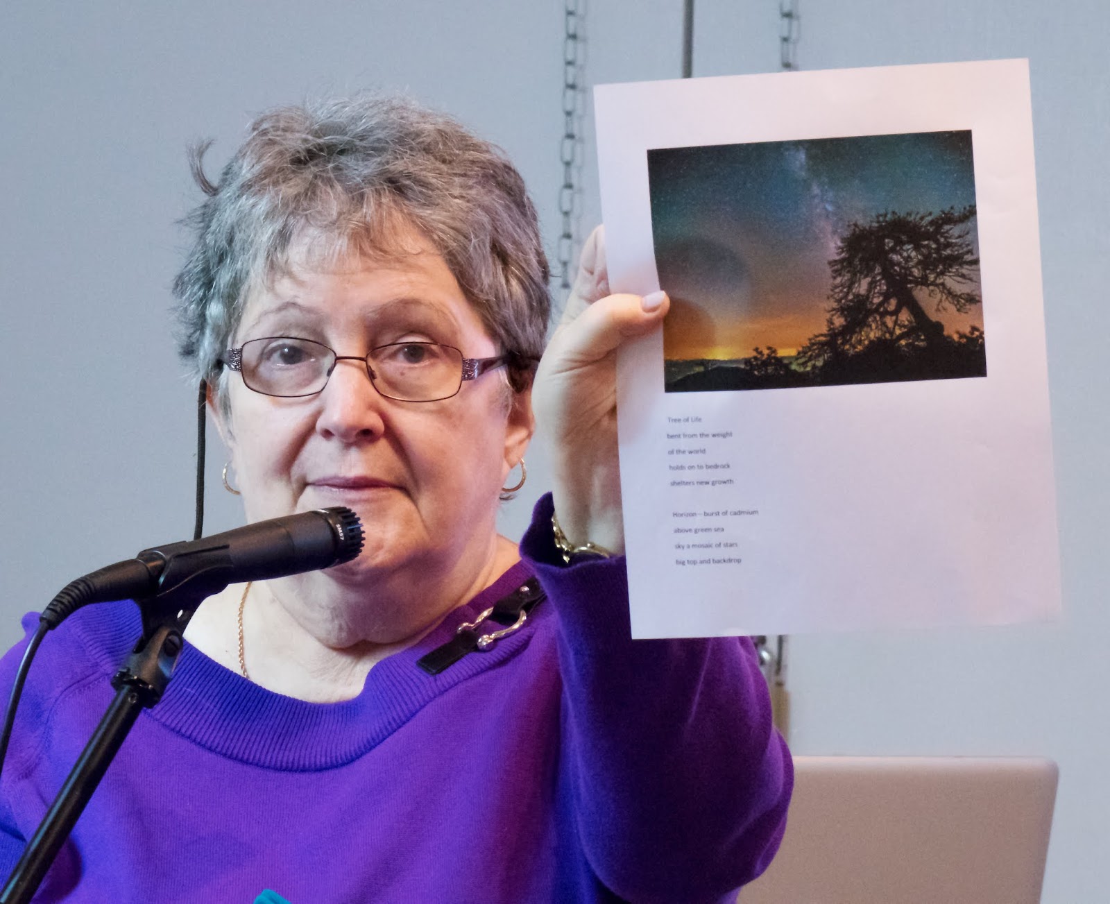 Black Walnut Heartwood: 2015