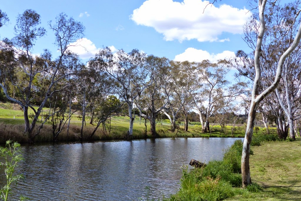 National Park Odyssey: Warwick, QLD
