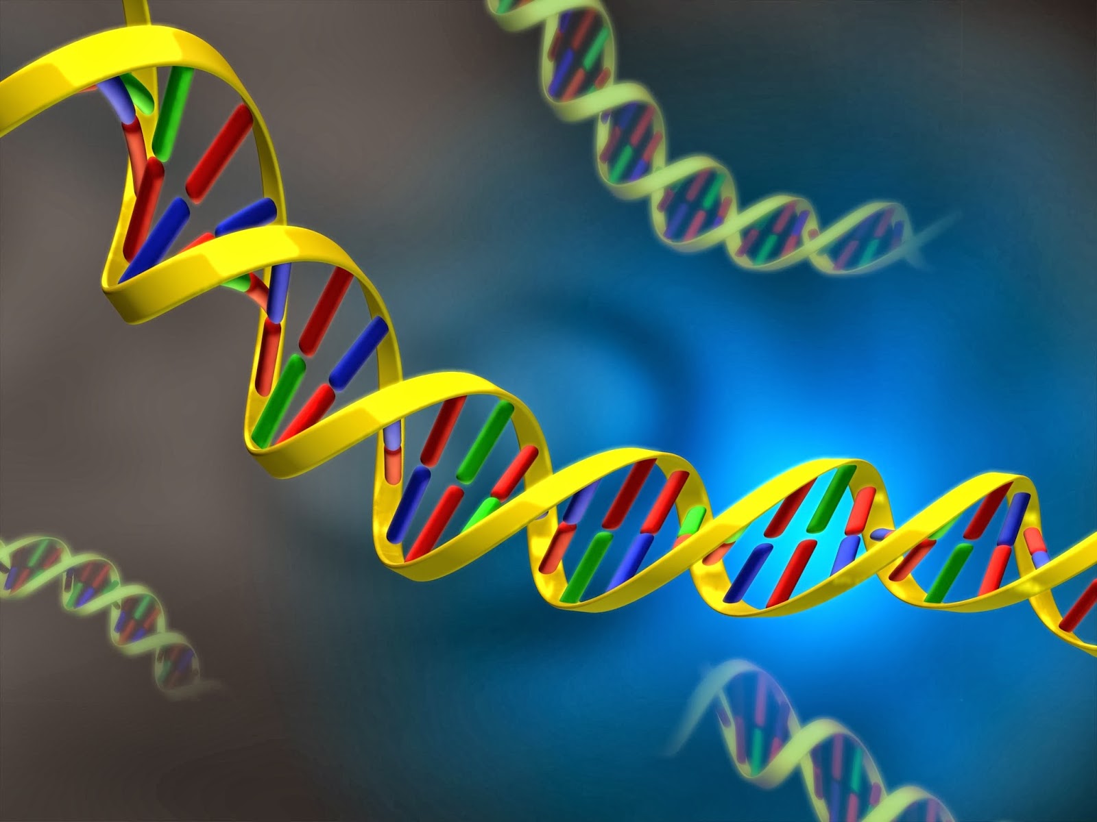 Passione per la medicina: Bioquímica