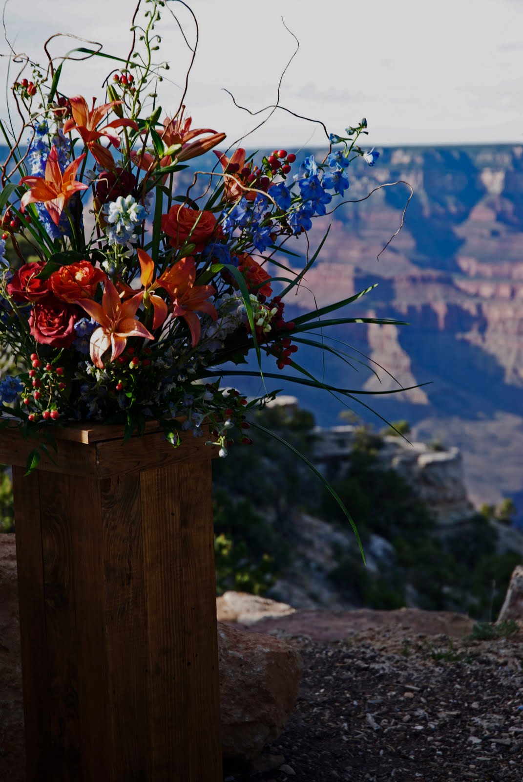 Emilee Michelle Photography