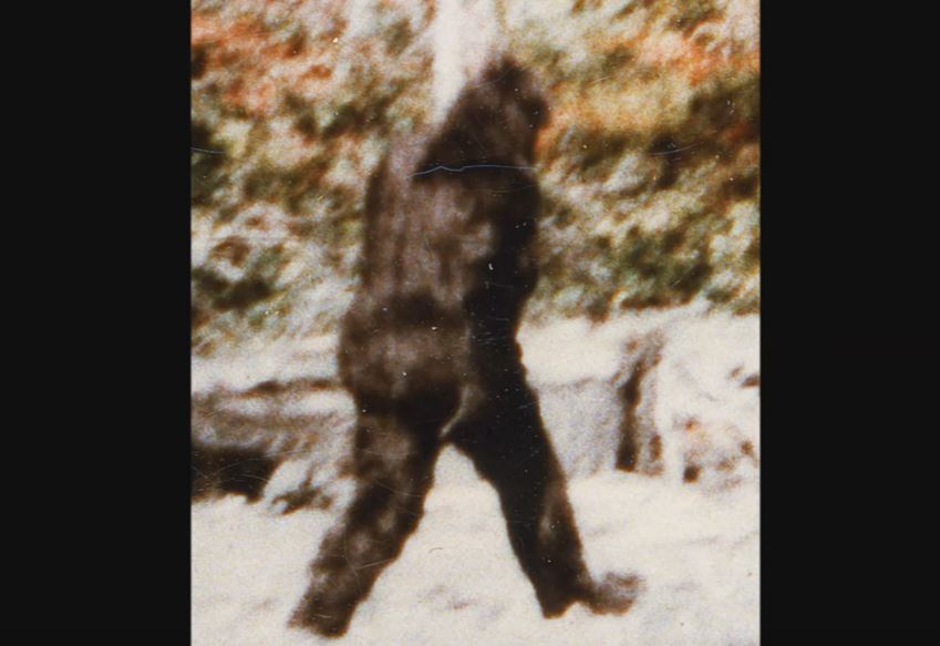 The Seven Native Teachings of Grandfather and the Ojibwe Bigfoot (Video ... The Seven Native Teachings of Grandfather and the Ojibwe Bigfoot (Video ...