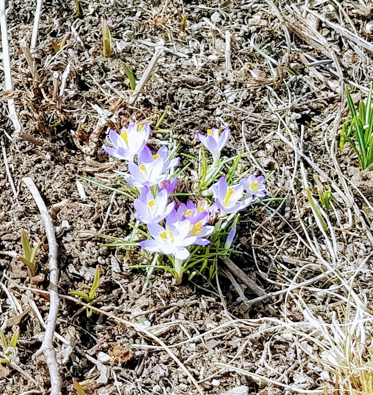 Found on Brighton: March into April: Art Journaling