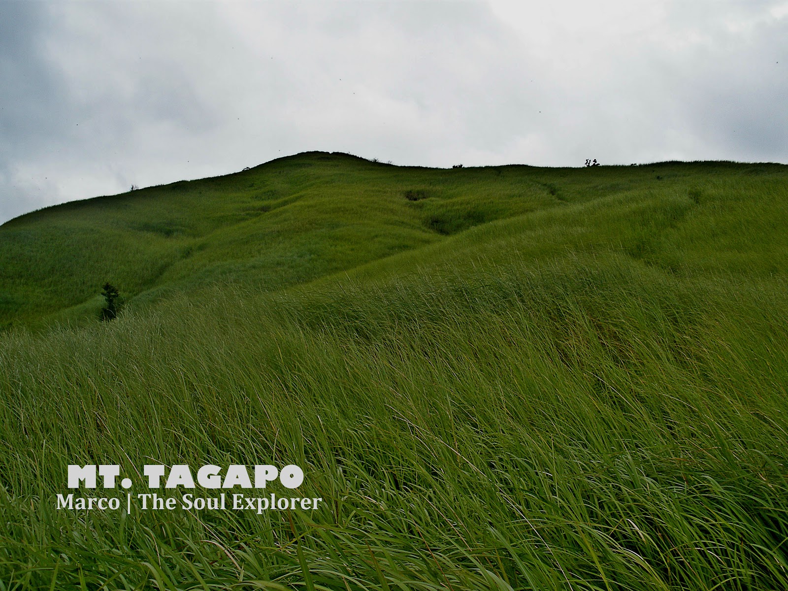The Soul Explorer: Day Hike: Reaching the Highest Point of Mt. Tagapo ...