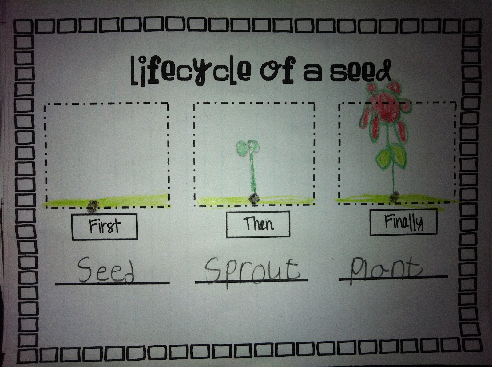 Miss Augustine's Kinder: Garden Week 1