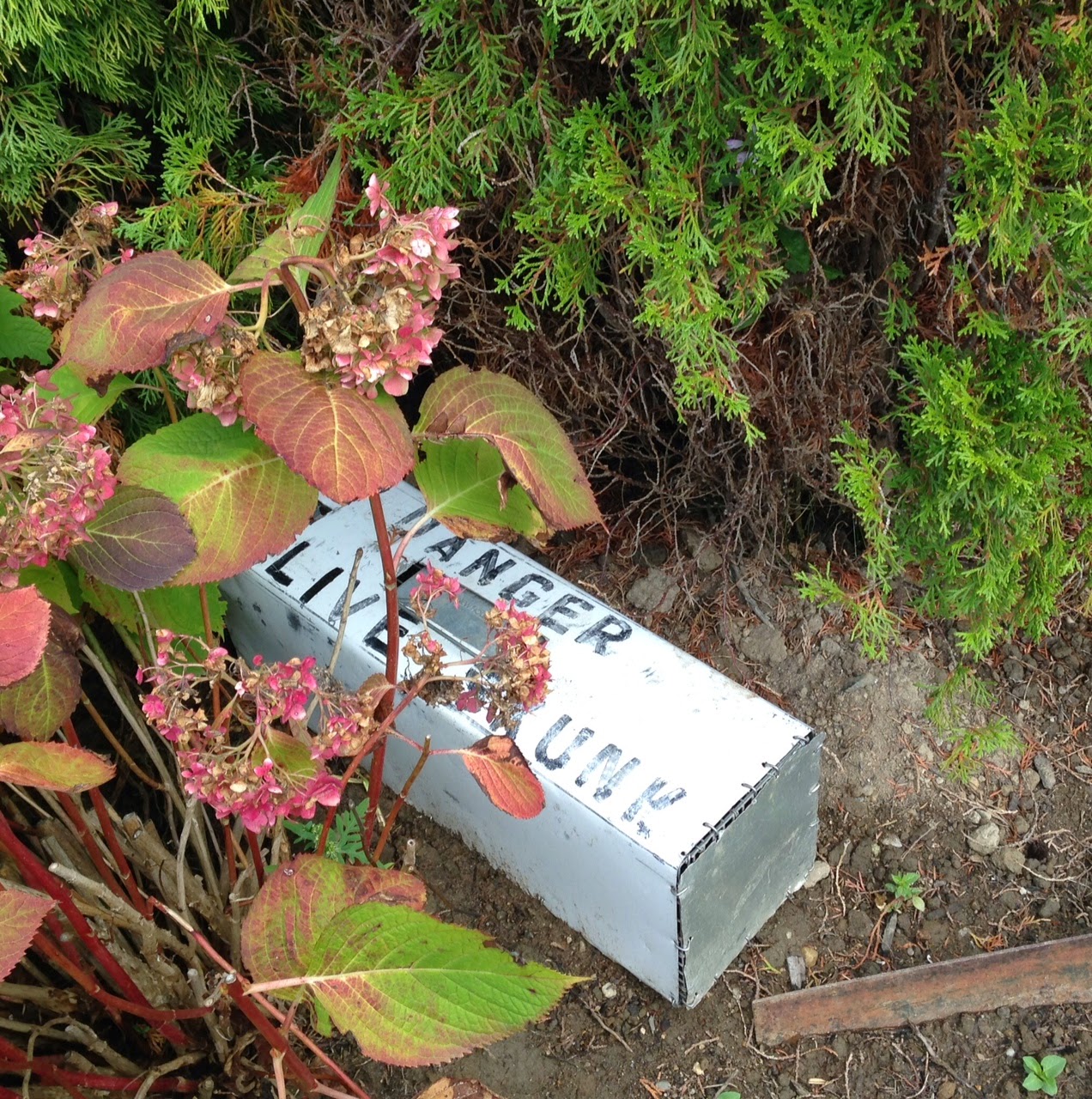 Bonni Brodnick Blog : Martha's Vineyard: Skunk Box and Other Stuff