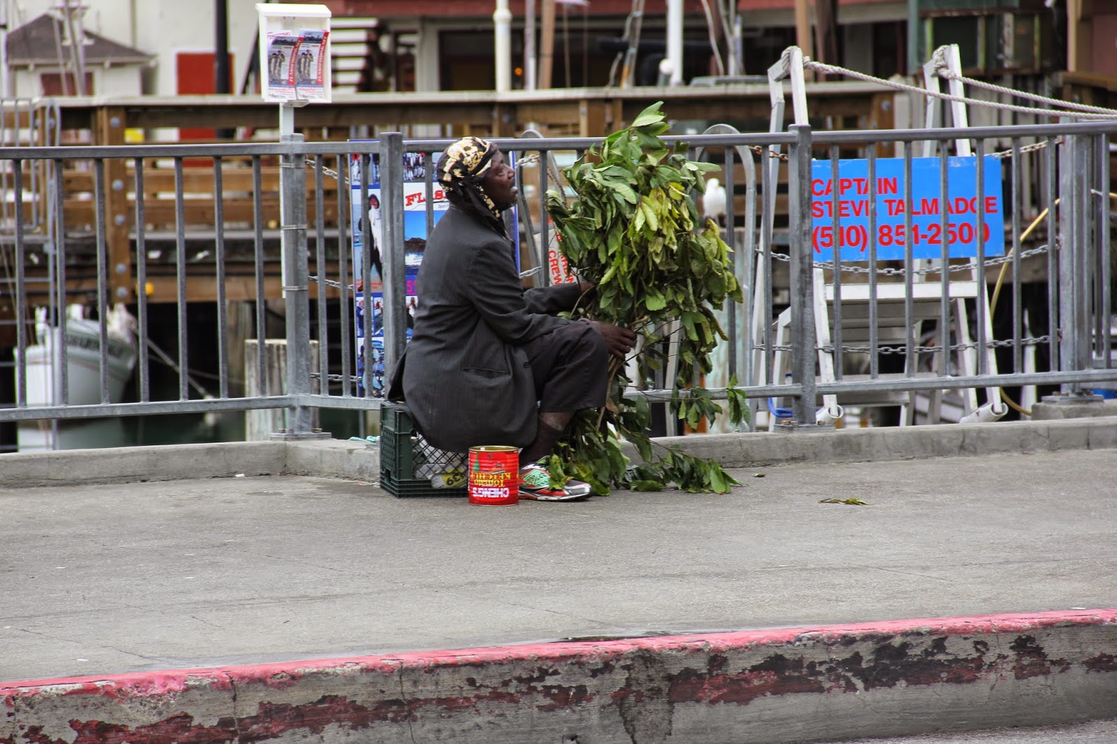 THE LAUREN DIARIES : THE WORLD FAMOUS BUSHMAN
