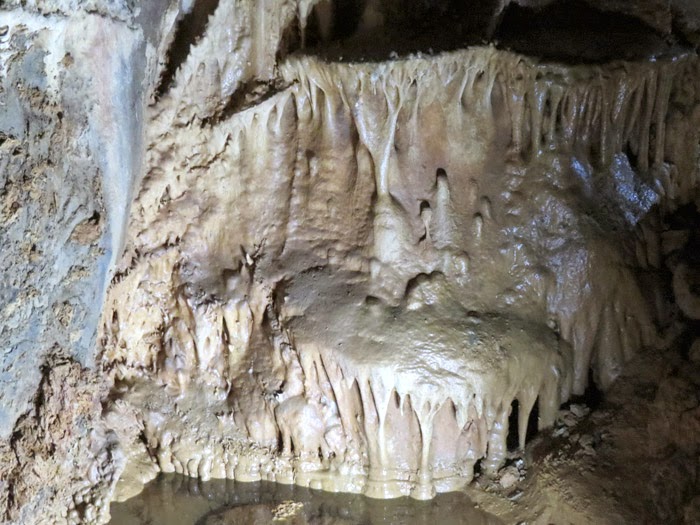EEF PADRE BRUNO LINDEN: PARQUE DAS GRUTAS DE BOTUVERÁ