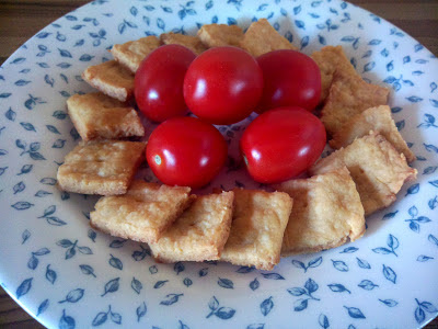 Twigs, Leaves, and Grass: Cheesy Crackers