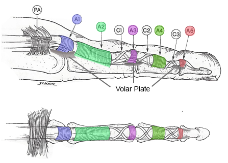 Rauf Yousaf | Blogspot