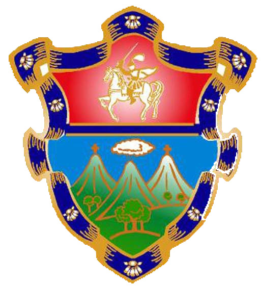 PLAN MUNICIPAL PARA LA REVITALIZACIÓN DEL CENTRO HISTÓRICO