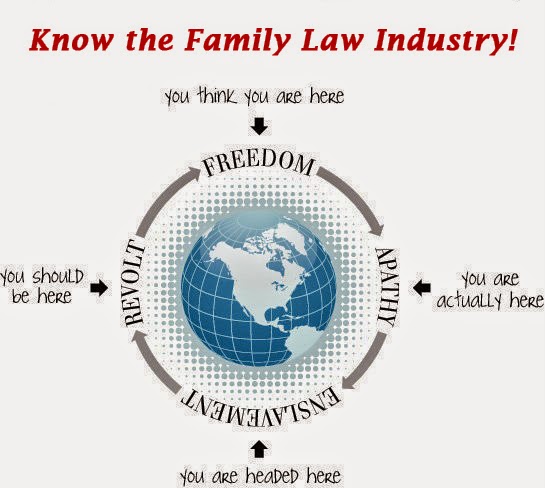 Children's Rights: A Collection of Family Court Stories - FCLU