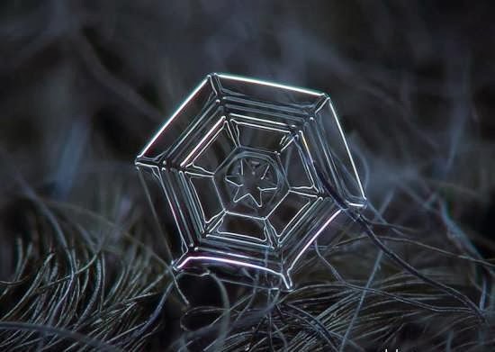 OddFuttos, When The Photos Speak: Have you seen the shape of the ...