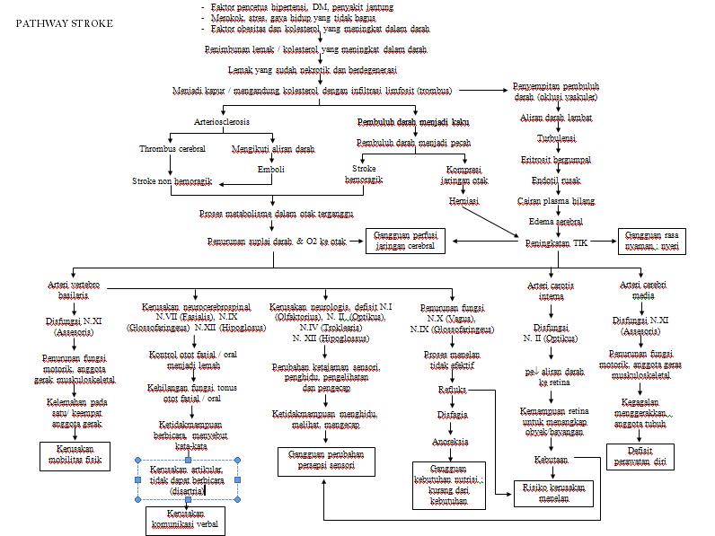 Pathway | Saijo Ndakik