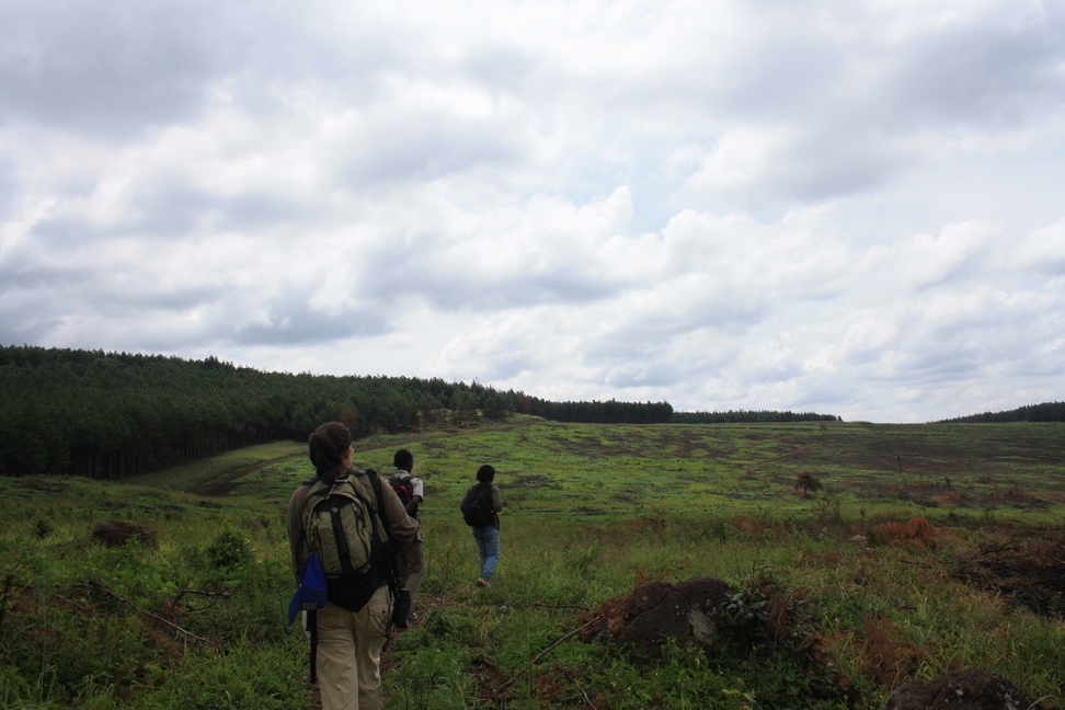Times in Tanzania: Northern Mt. Kilimanjaro: Rongai Forest
