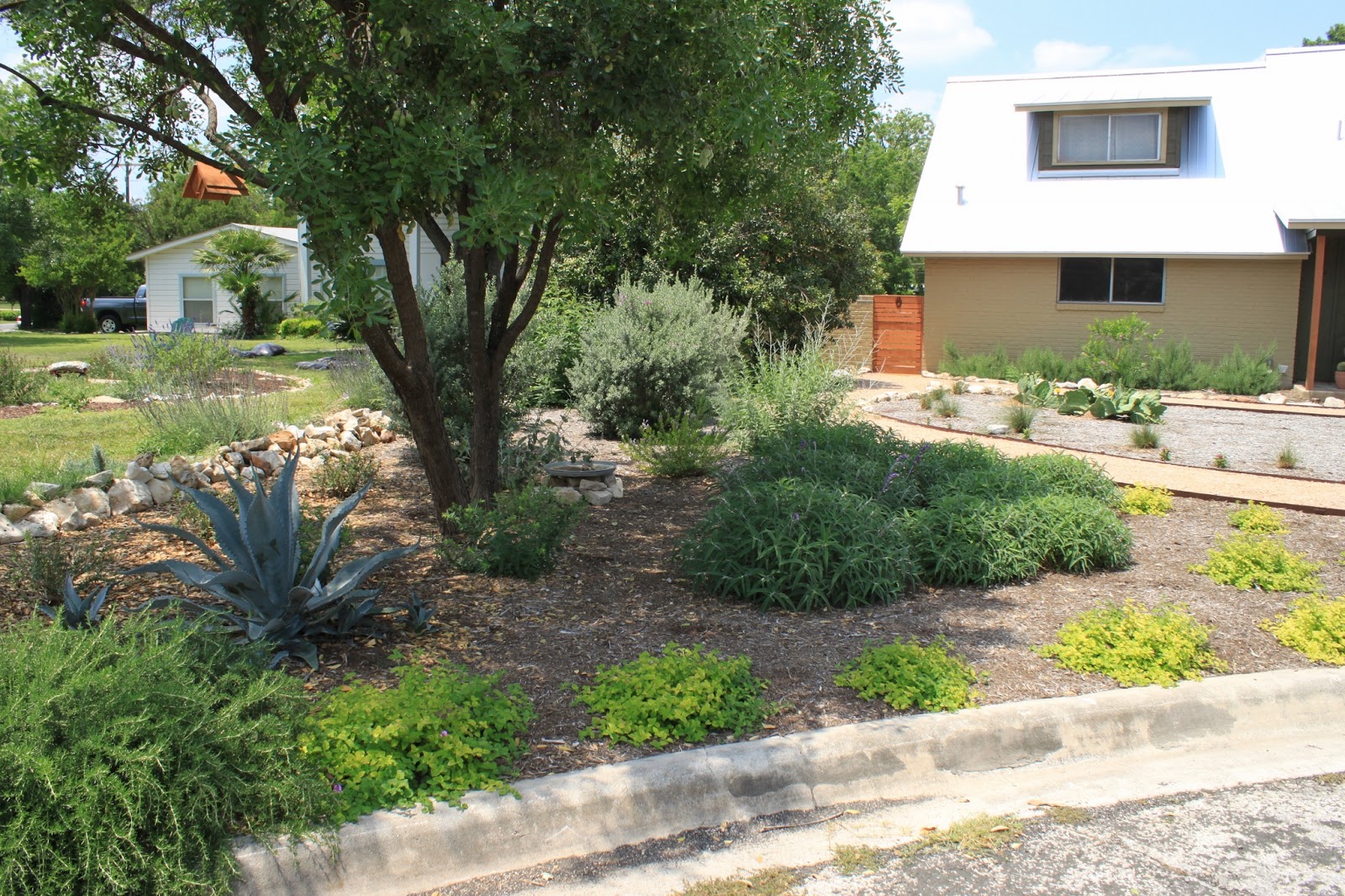 San Antonio Landscaping Ideas | How To Grade Landscape