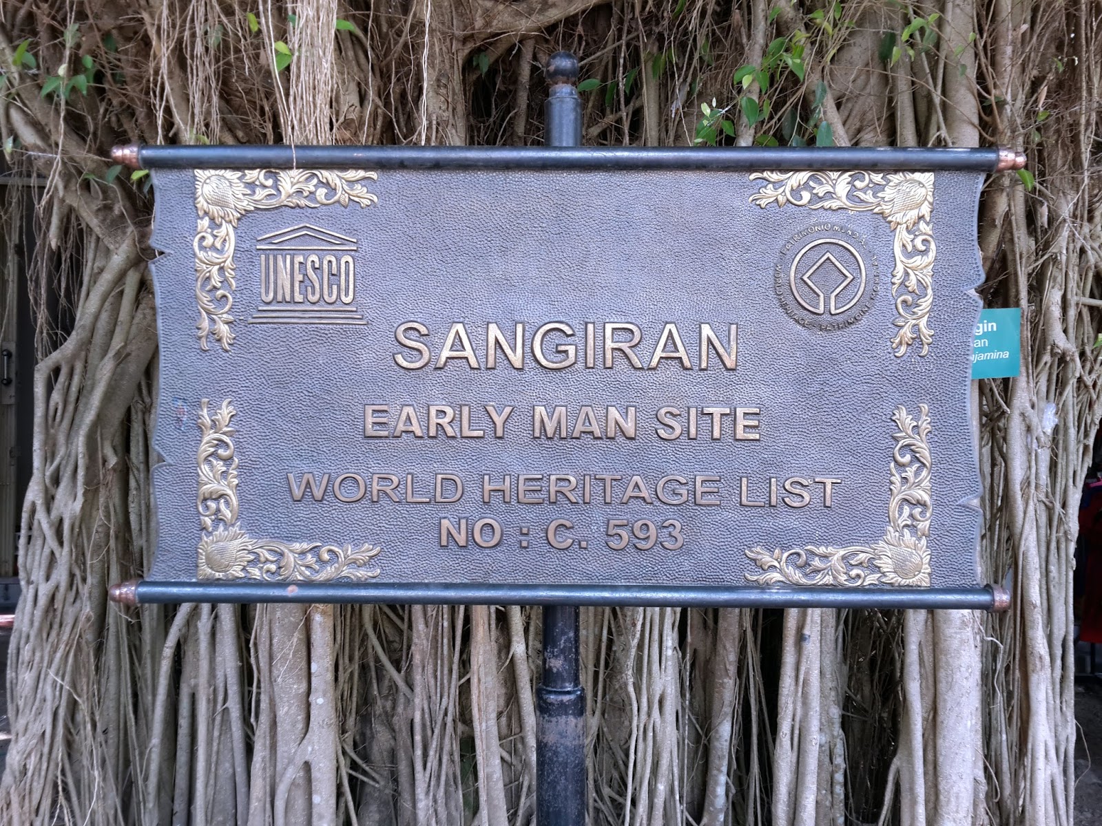 Jelajah Sejarah di Museum Purbakala Sangiran — APRIJANTI