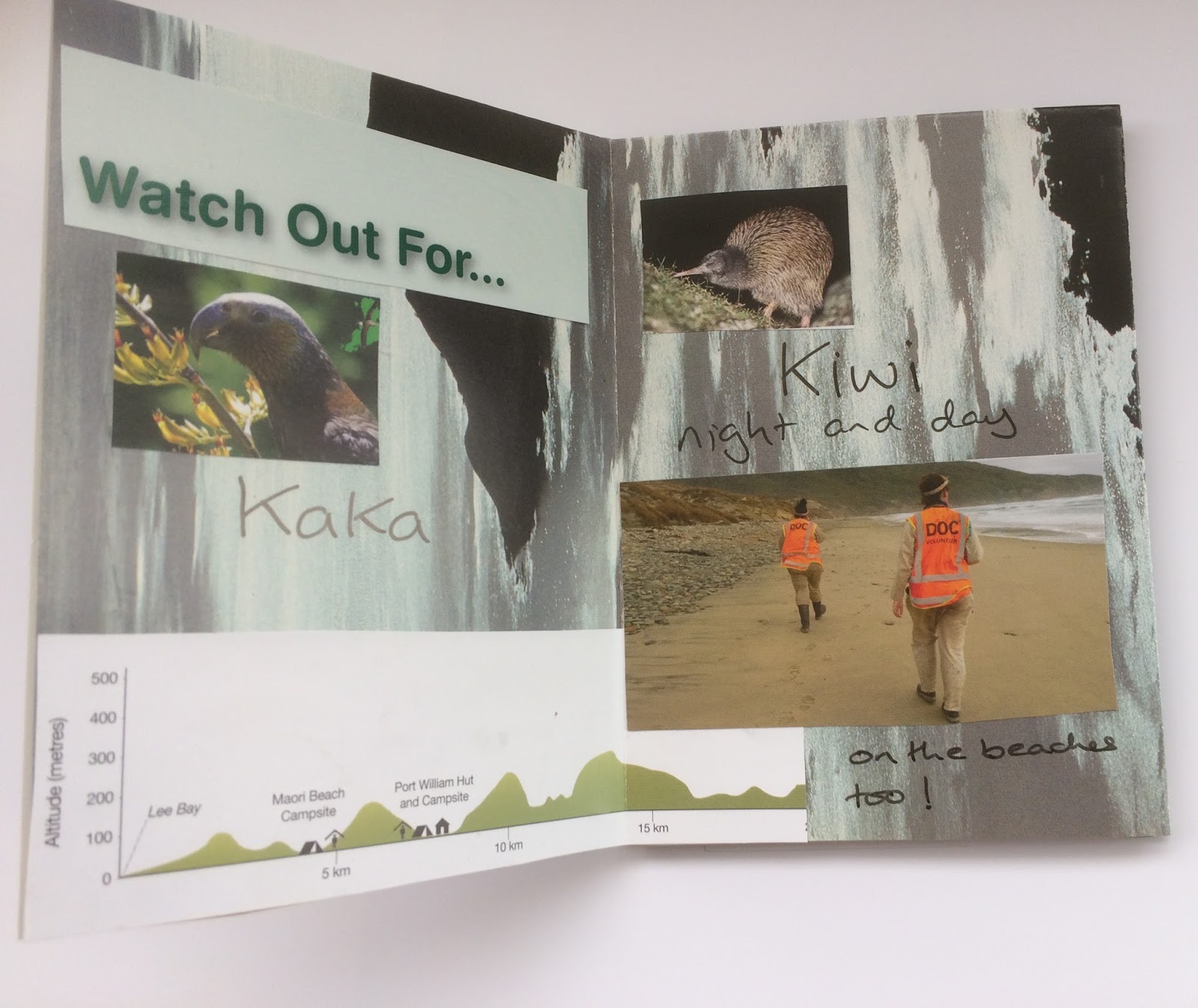 Explore and Discover Nature: Nature Kids - Making Zines to Spread the Word