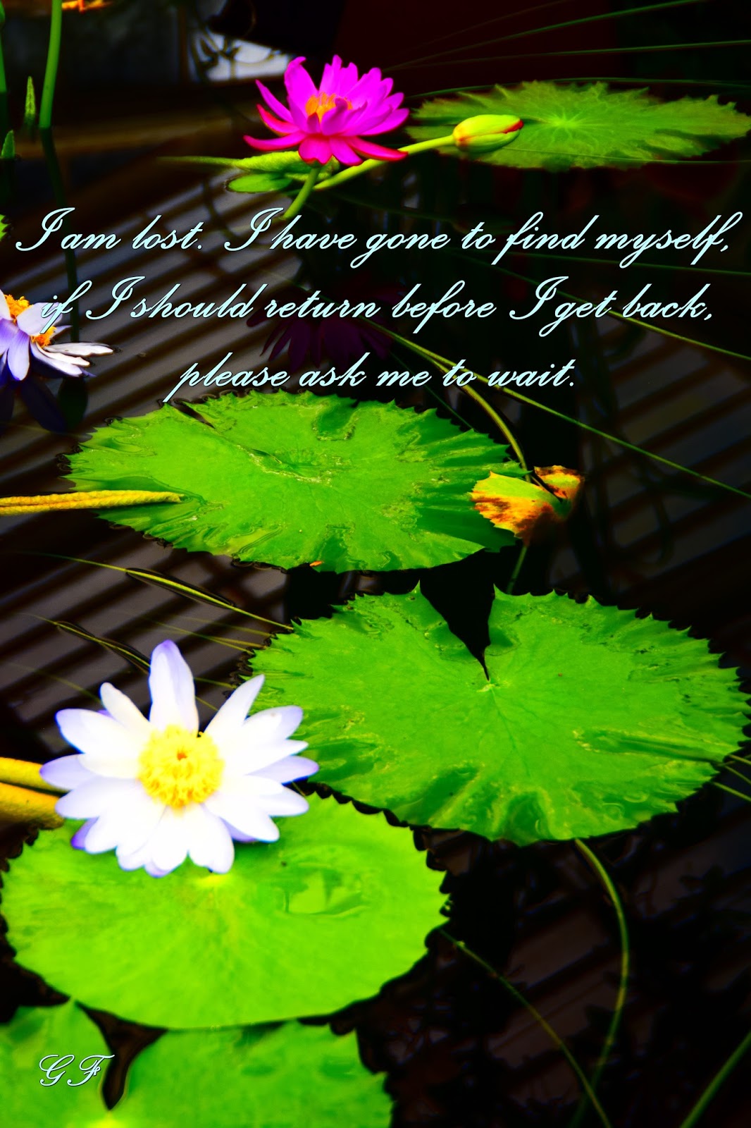 Enjoy your time with beautiful places: QUOTES