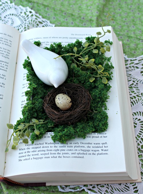 20 North Ora: Bird and Nest in a Book