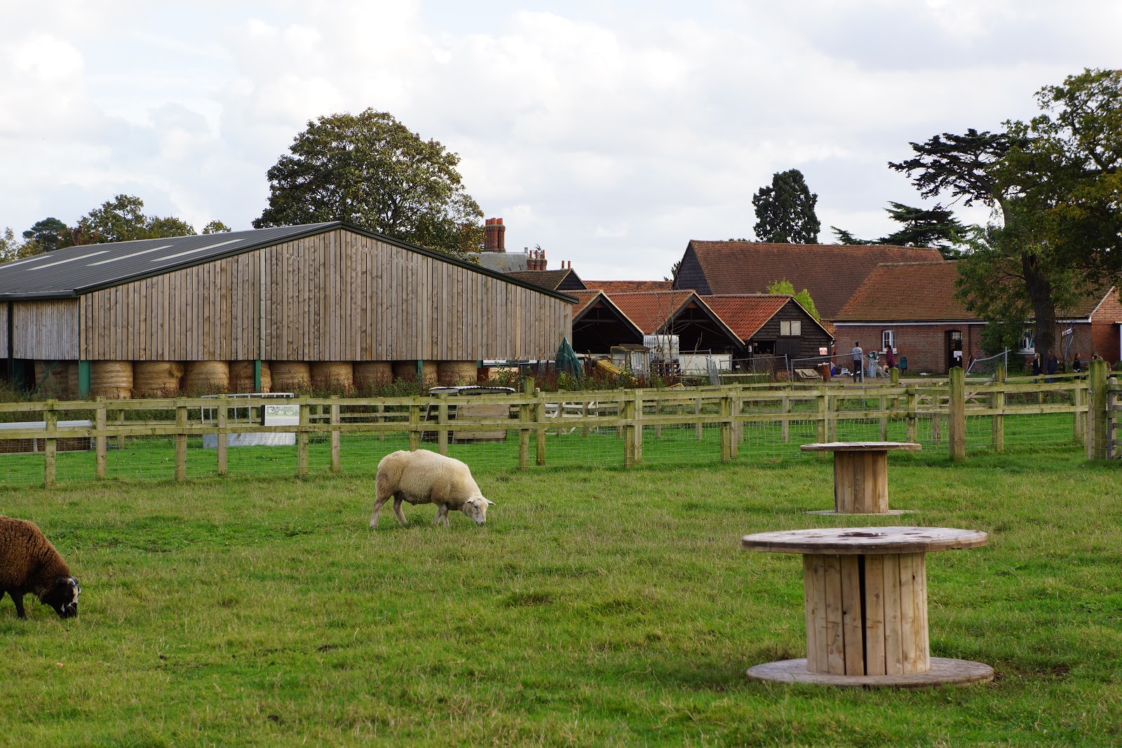 One of the best kept secrets of North London - Forty Hall Estate