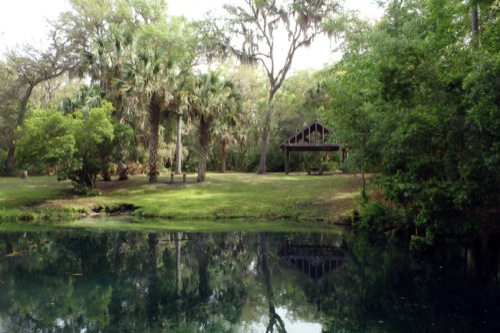 Life in the Slow Lane (The Pearl): April 30 - Welaka, FL