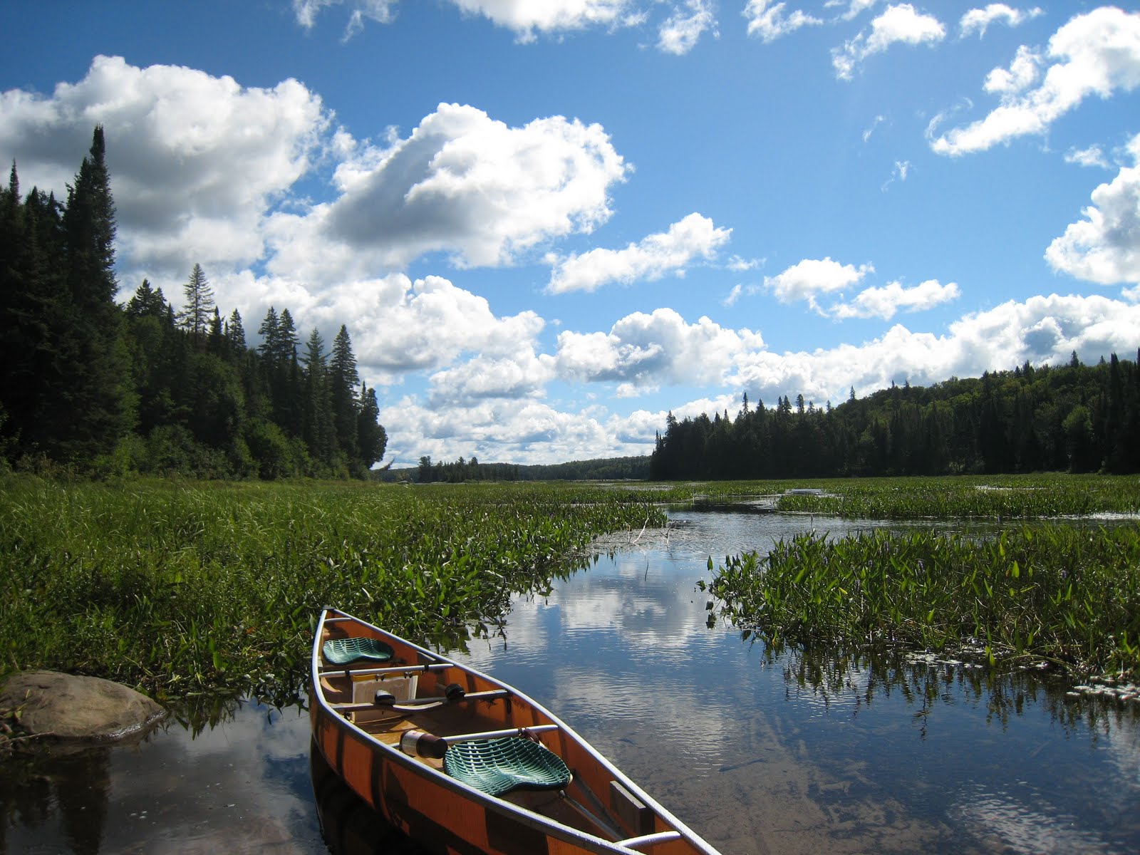 Keeping the Round Side Down: 2011 Algonquin Provincial Park