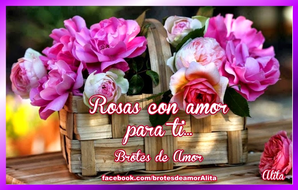 Brotes de Amor: Rosas con amor