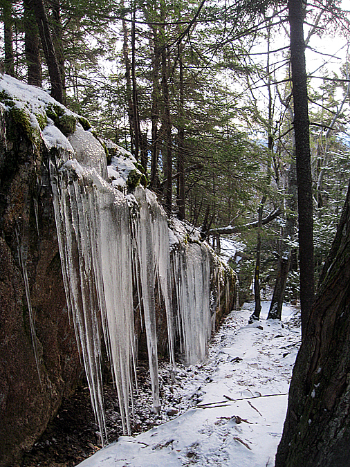 Hiking in the White Mountains: Welch - Dickey Loop