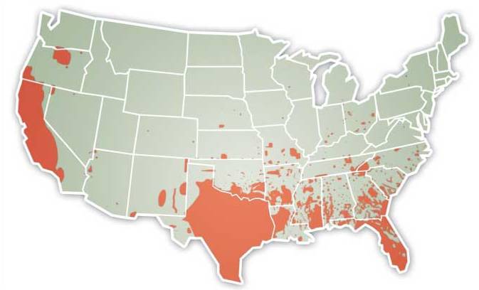 Agroregeneration: Feral Pigs And Wolves - Bringing Nature Into Balance