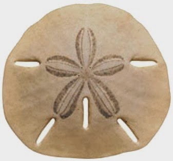 Legend of the Sand Dollar