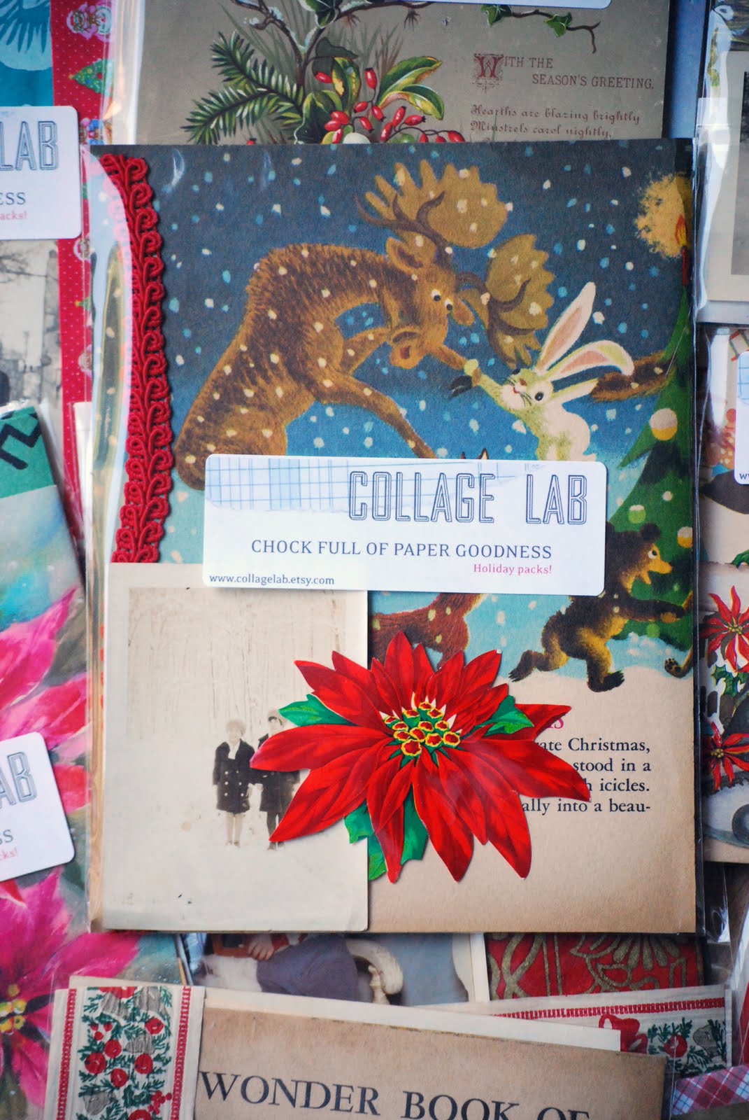 MICHELLE CAPLAN: Mixed Media Collage Artist