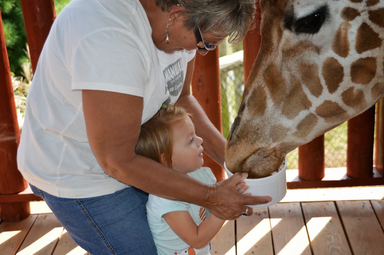 Unexpected Lessons: Mumbled Updates