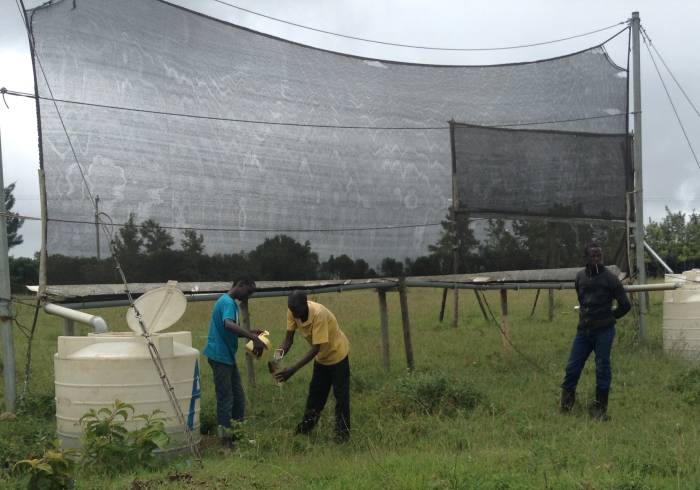 NG'ARUA MAARIFA CENTRE: Fog collectors net scarce water in Kenya, but ...