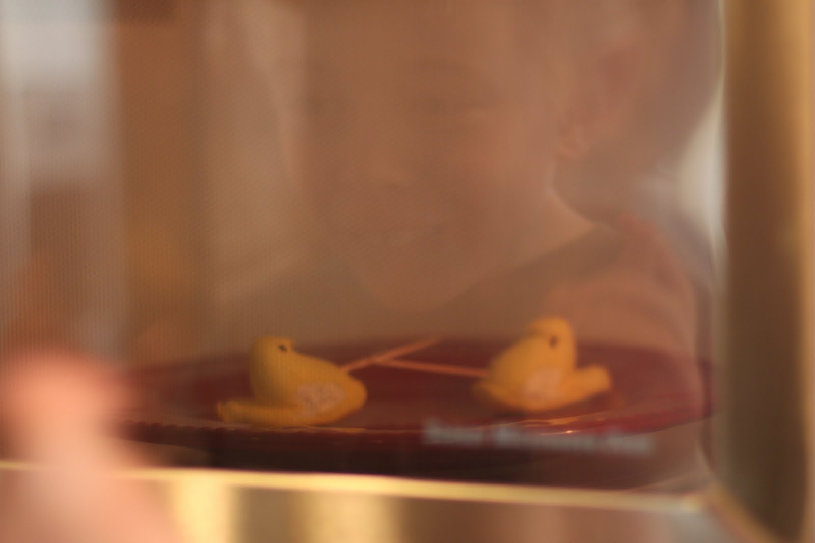 What I Made Today: TUTORIAL: Peep Jousting