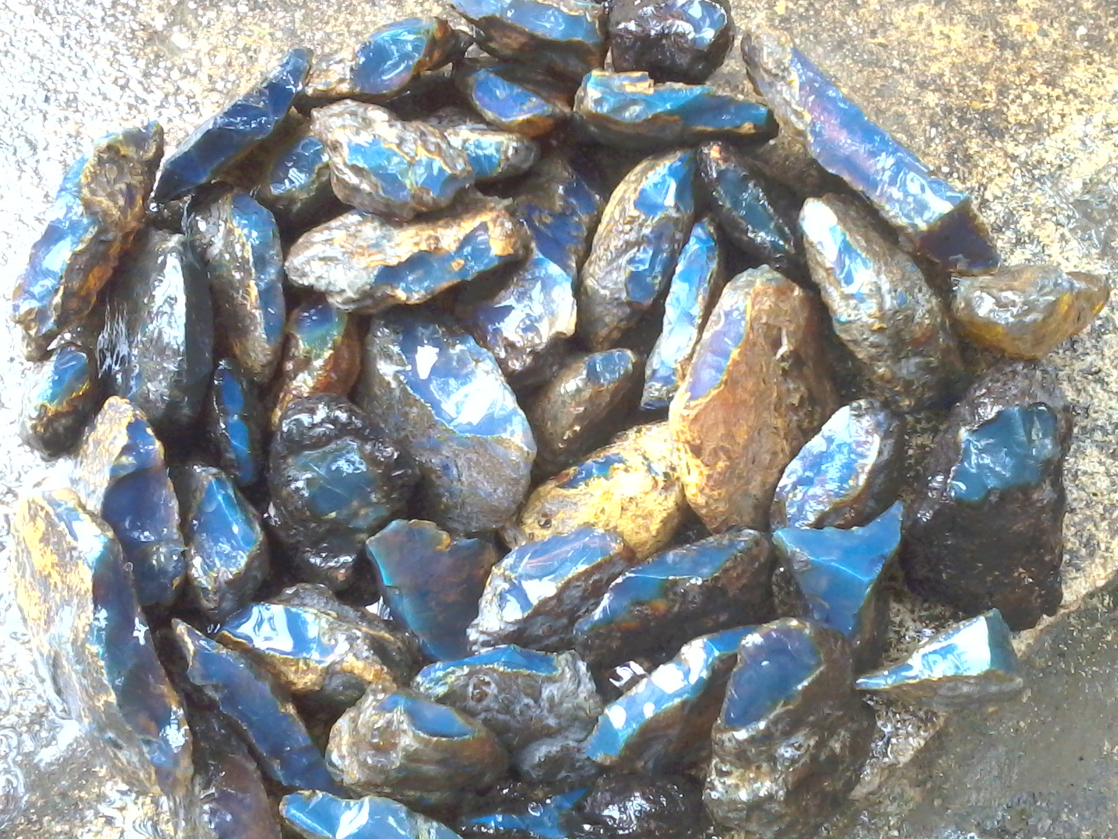 Taller De Ambar San Jose