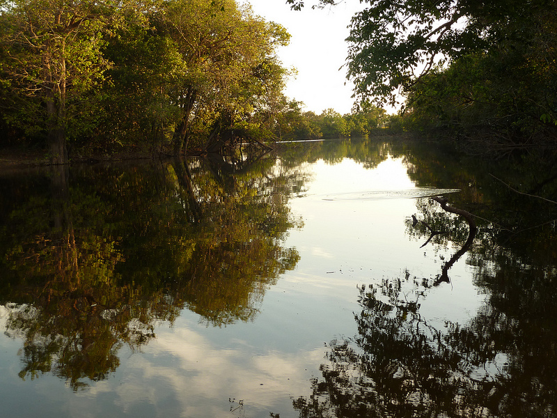 Capanaparo - Caño Sicuture - Elorza, Capital Folklorica de Venezuela