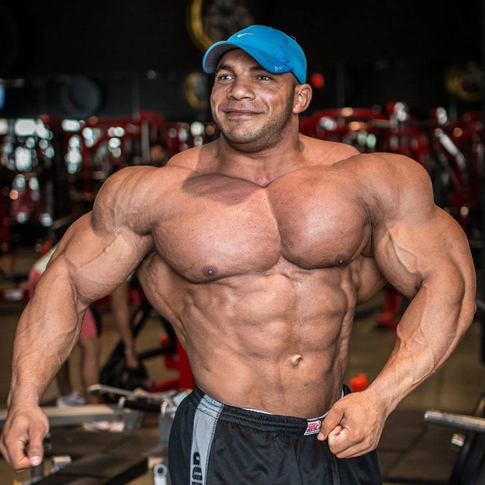 Muscle Lover: Egyptian IFBB Pro bodybuilder Mamdouh "Big Ramy" Elssbiay