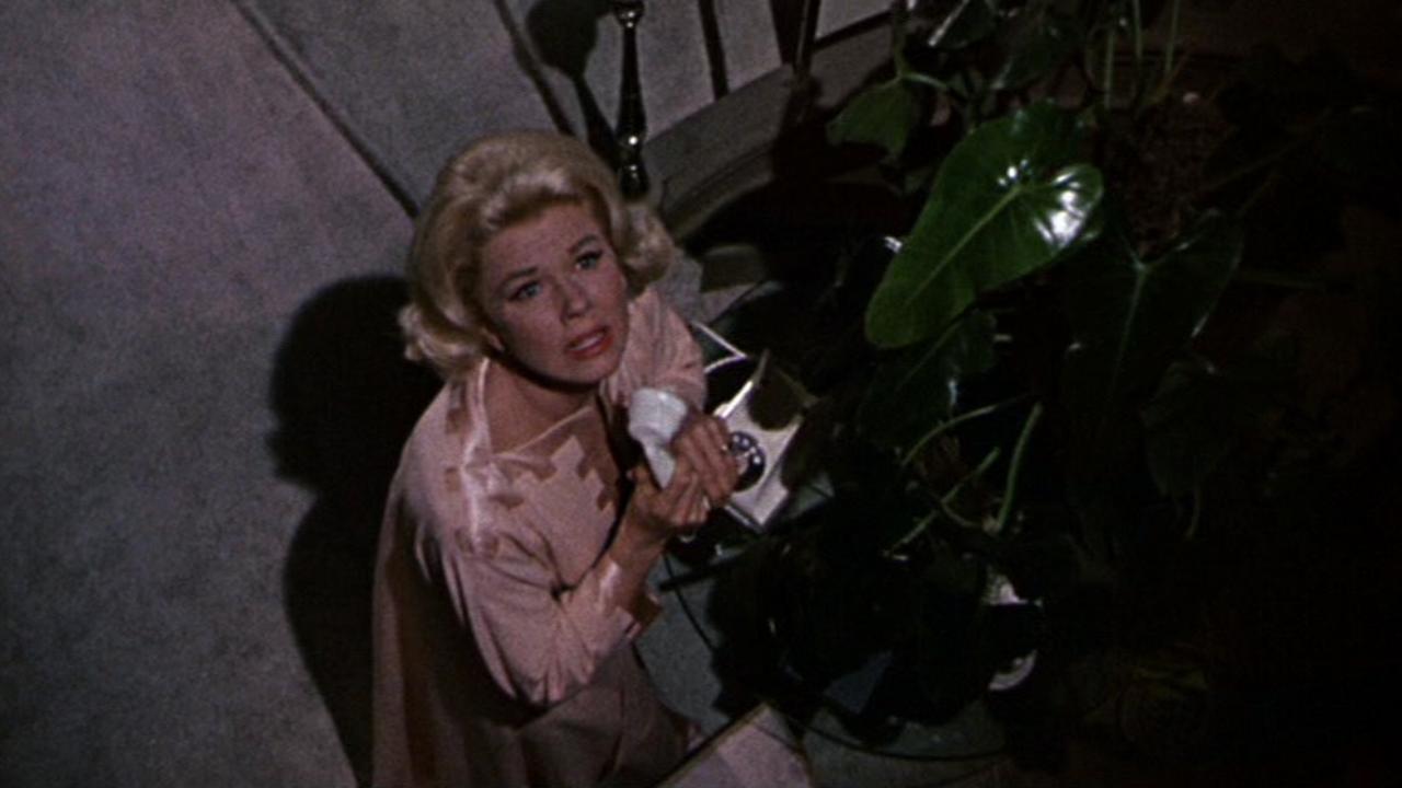 At the Movies: Midnight Lace (1960)