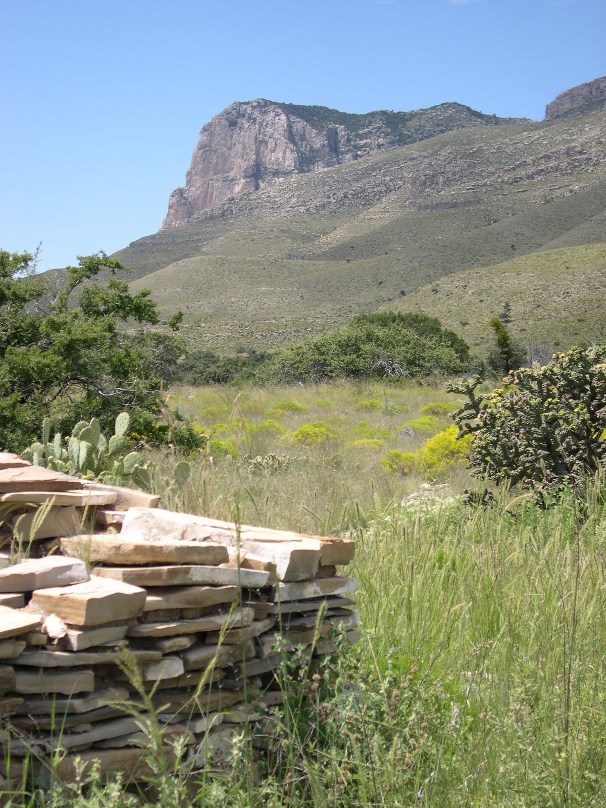 Texas Mountain Trail Daily Photo: Pinery Station, a Butterfield Stage ...